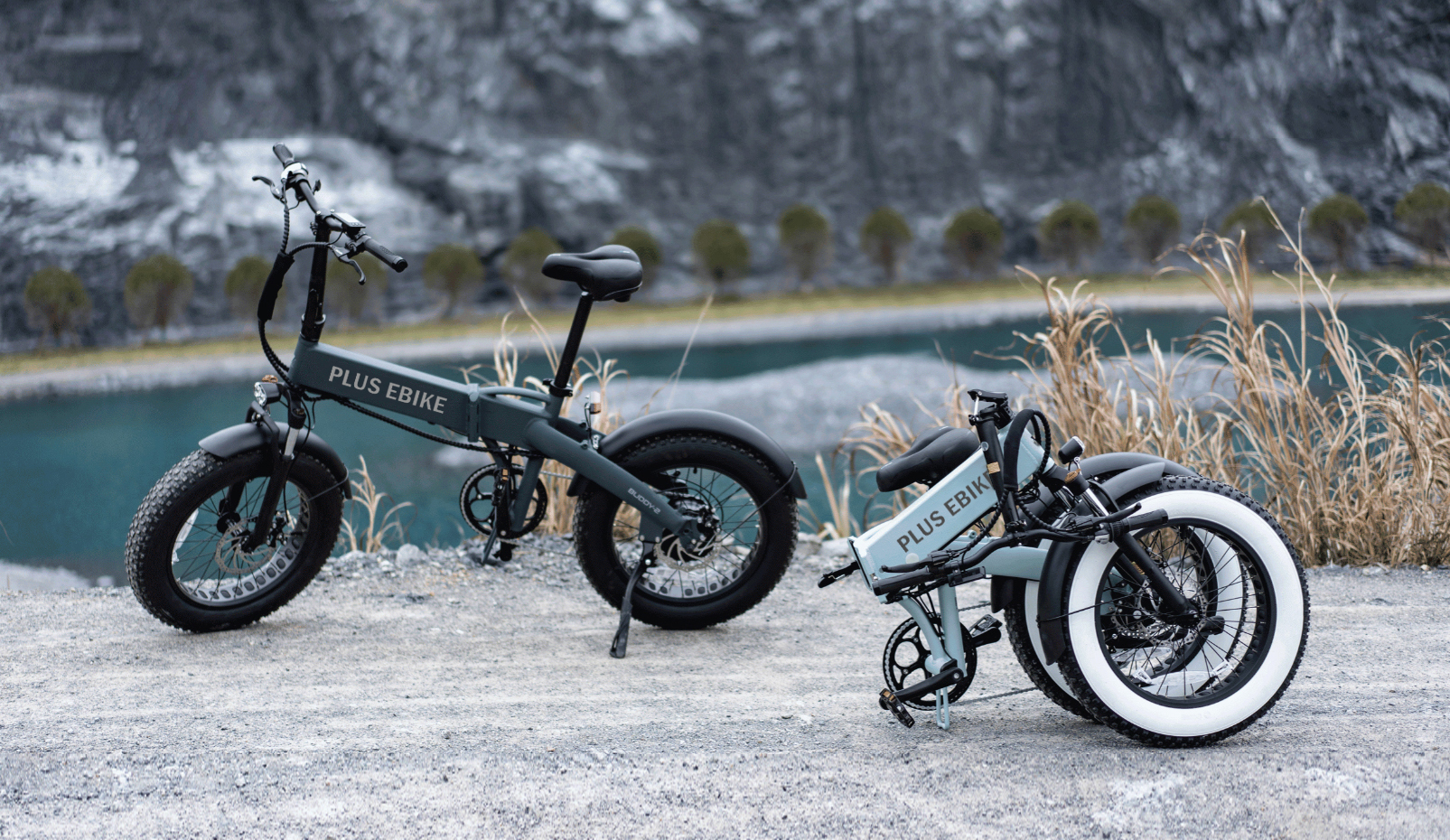 20 inch Folding Fat Tire Electric Bike BUDDY - PLUS EBIKE