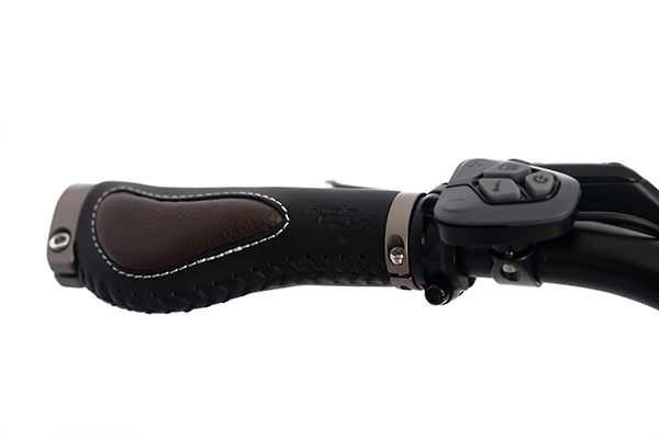 20 inch Folding Top Rated City Riding Electric Bike OCHE - PLUS EBIKE